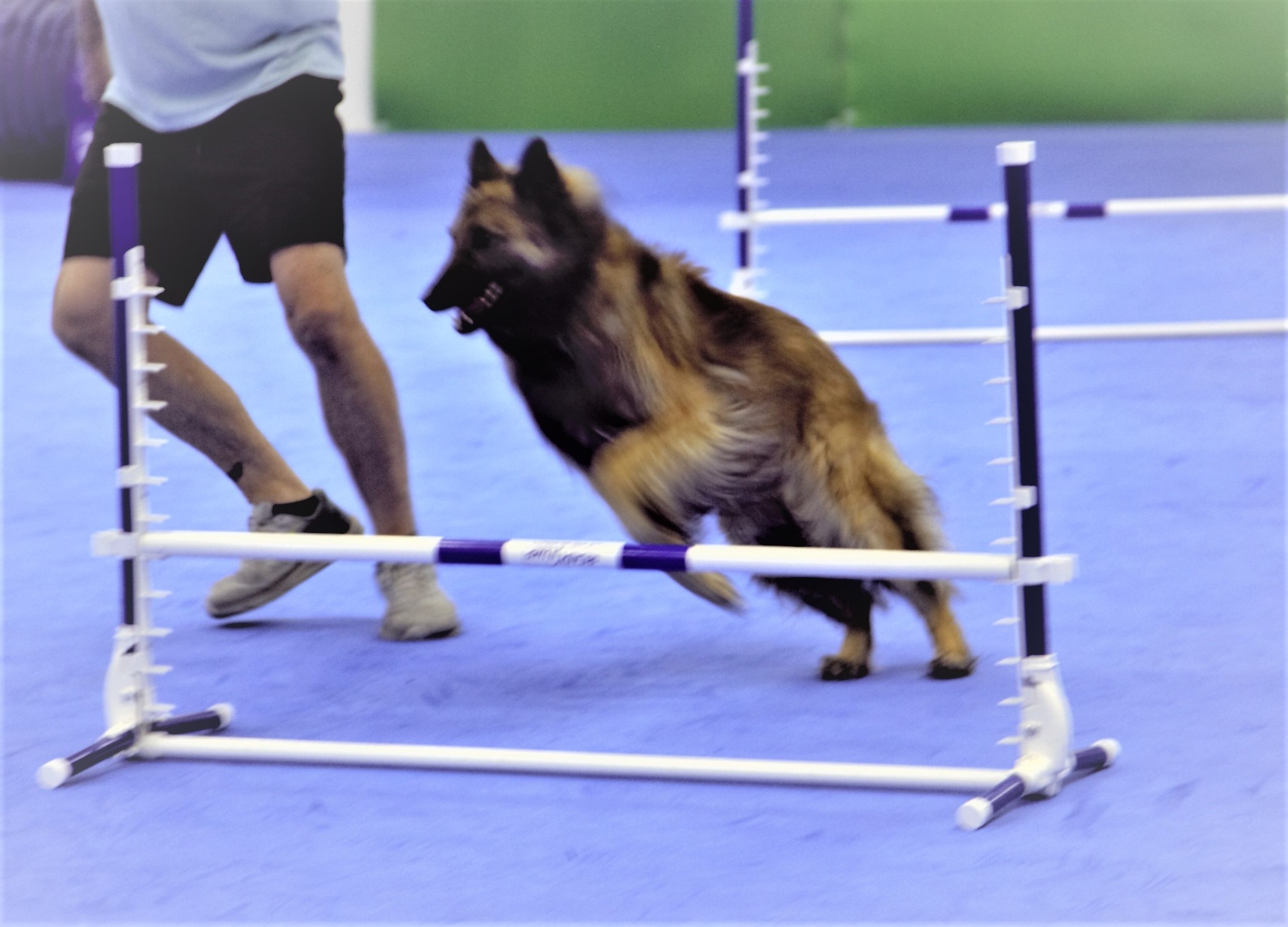 NADAC VT Events - OVERCOME YOUR OBSTACLES