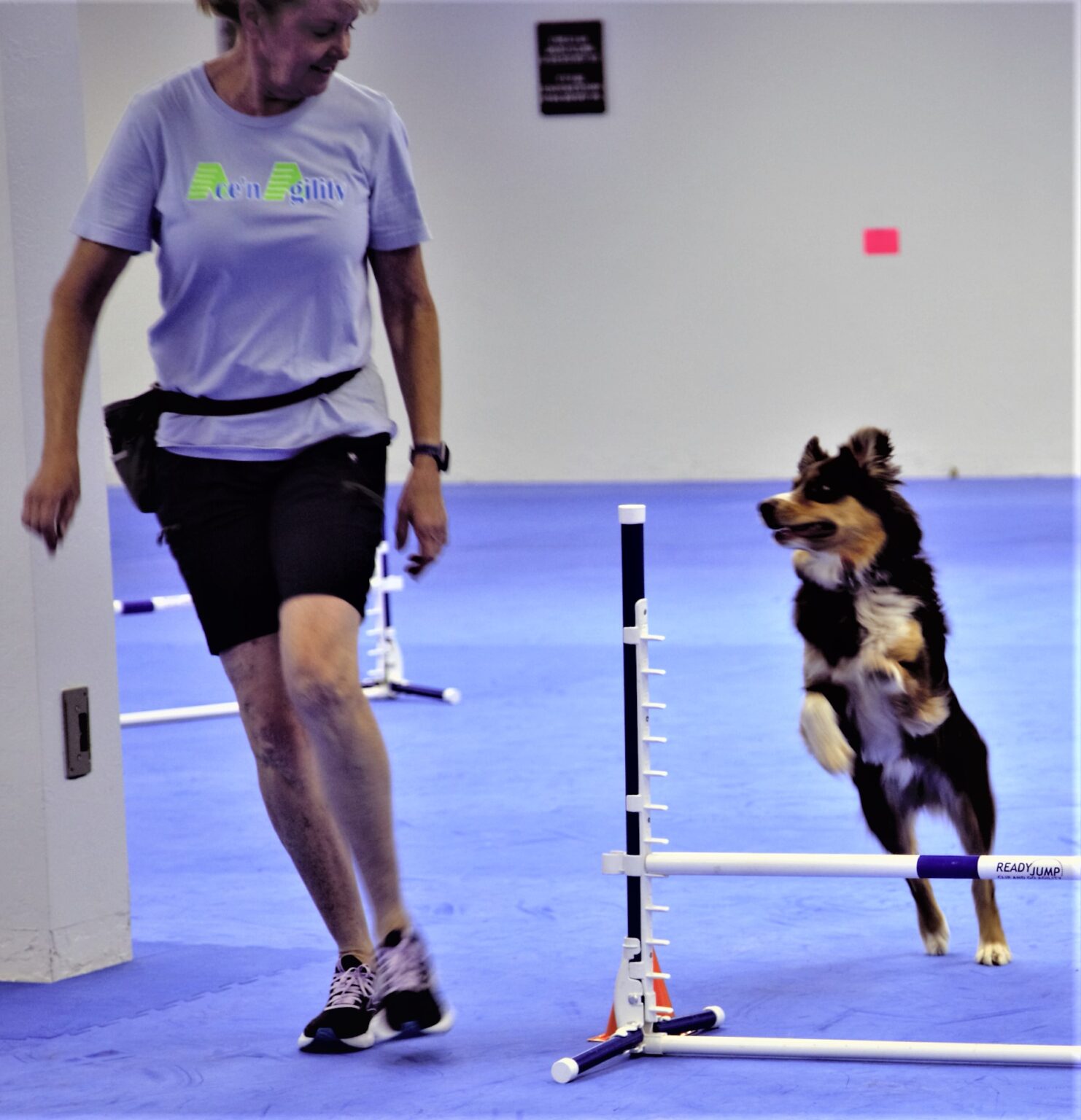 NADAC VT Events - Over the Edge Dog Sports